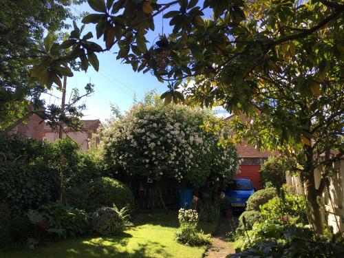 Square Tree House, Liverpool – Updated 2023 Prices