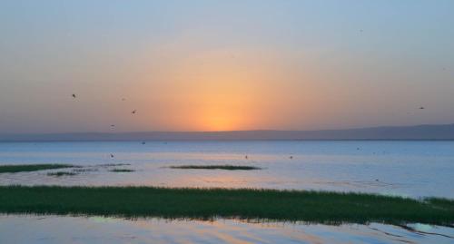 Haile Resort Hawassa, Āwasa (updated prices 2025)