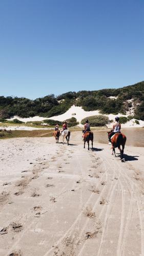 Buccaneers Beach Lodge, Chintsa, South Africa, Chintsa (updated prices ...