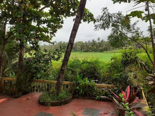 Country View Cottage Colva, Colva (updated prices 2025)
