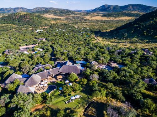 Ivory Tree Game Lodge, Pilanesberg – Updated 2024 Prices