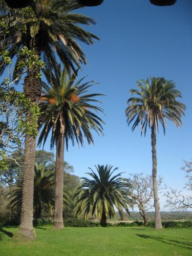 La Casona de San Pedro, Colonia del Sacramento (updated prices 2025)