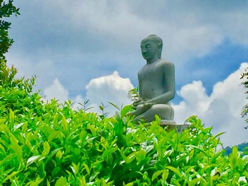 Bogala Village Eco Resort, Kegalle, Sri Lanka - Booking.com