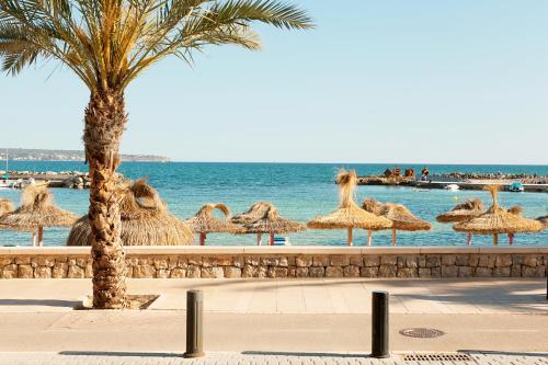 Sunprime Waterfront Adults Only, Can Pastilla (uppdaterade priser för 2024)