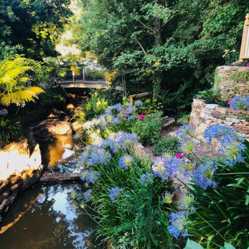 Aldgate Creek Cottage, Aldgate (updated prices 2025)