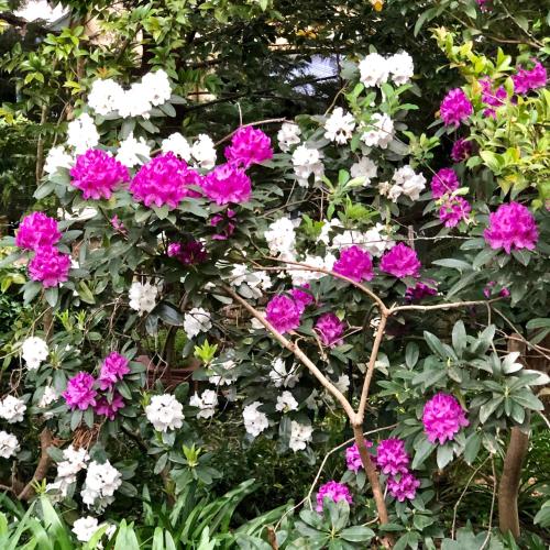 Aldgate Creek Cottage, Aldgate (updated prices 2025)