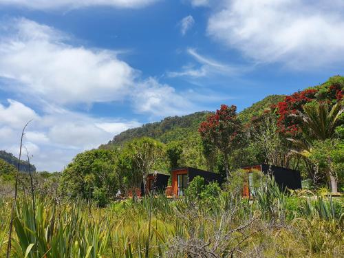 Punakaiki Beach Camp, Punakaiki (updated prices 2025)