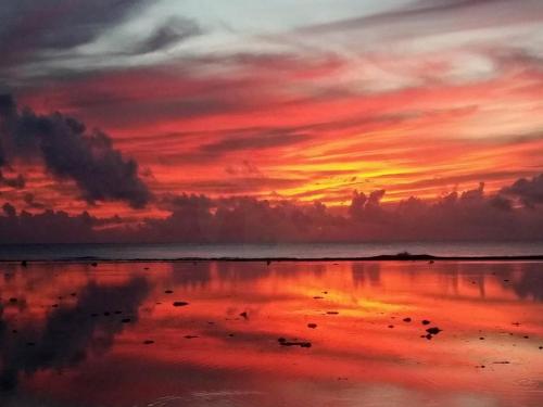 Sunset Palms Rarotonga, Rarotonga – Updated 2023 Prices