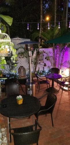 The Artist House, Key West (updated prices 2025)