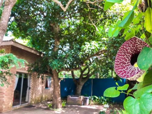 Ingwenya Lodge, St Lucia (updated prices 2025)