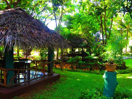 Pelwehera Village Resort, Dambulla (updated prices 2025)