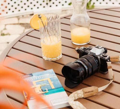 Pyramids in Florida, Estero – Updated 2024 Prices