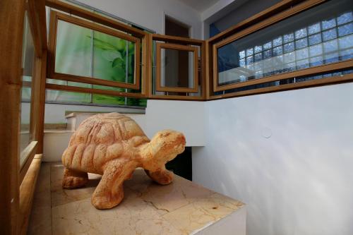 Custo Club, Eilat – Updated 2024 Prices