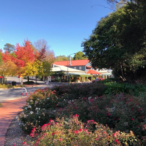 Aldgate Creek Cottage, Aldgate (updated prices 2025)