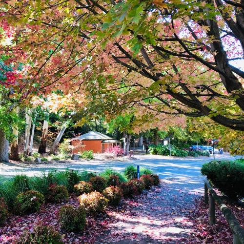 Aldgate Creek Cottage, Aldgate (updated prices 2025)