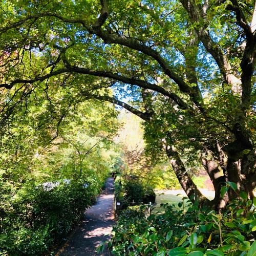 Aldgate Creek Cottage, Aldgate (updated prices 2025)