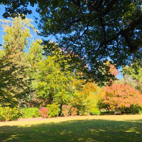 Aldgate Creek Cottage, Aldgate (updated prices 2025)