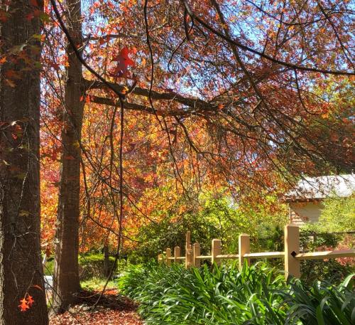 Aldgate Creek Cottage, Aldgate (updated prices 2025)