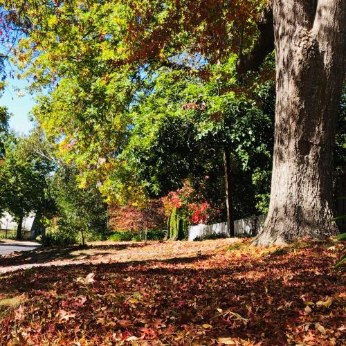 Aldgate Creek Cottage, Aldgate (updated prices 2025)