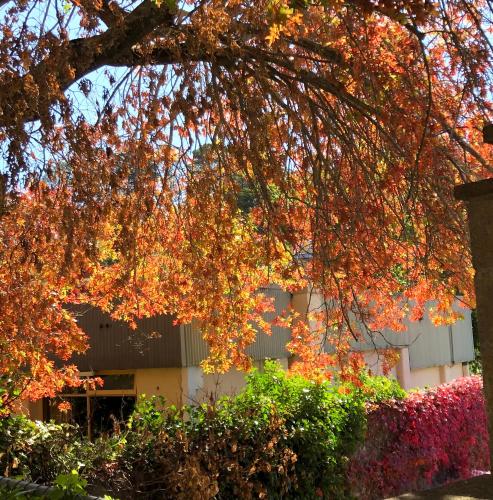 Aldgate Creek Cottage, Aldgate (updated prices 2025)