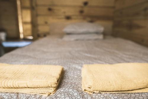 Pidula Forell, Pidula (atnaujintos 2024 m.kainos)