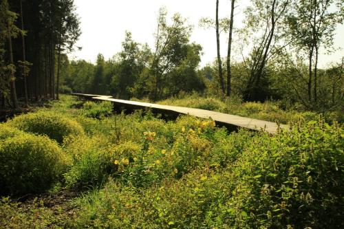 Landhotel Alte Mühle, Ostrach (updated prices 2025)