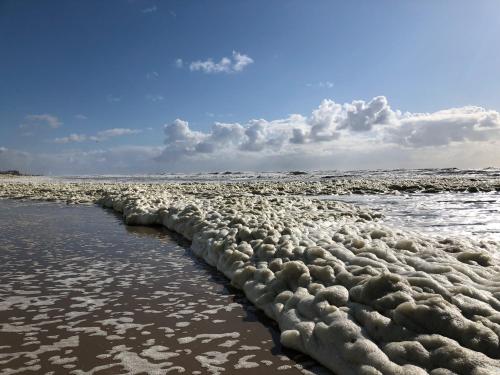 De Duinlopers- appt Zilt Zand- Strand, duinen en nabij cultuur steden ...