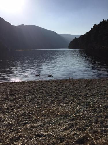 Riversdale House room only accommodation, A98KD85, Brockagh (updated ...
