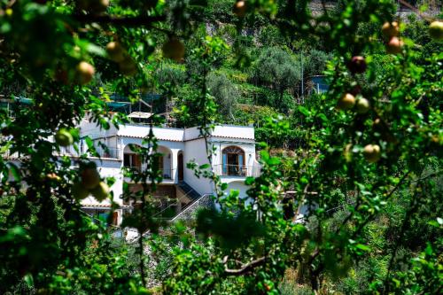 Villa genny and emily, Positano (updated prices 2025)