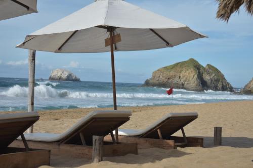 Posada Mexico, Zipolite (updated prices 2025)