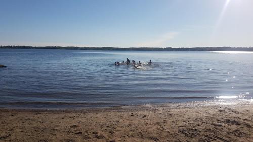 Stoco Lake Lodge, Tweed – Updated 2022 Prices