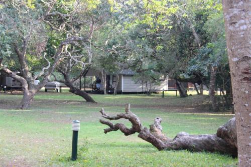 Coral Divers, Sodwana Bay – Updated 2024 Prices