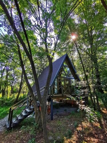 Porumbacu Treehouse, Porumbacu de Sus (updated prices 2025)