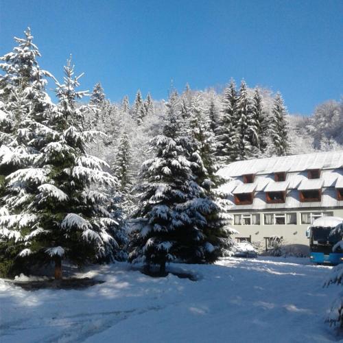 Complexul Turistic Cheile Butii, Câmpu lui Neag (prețuri actualizate 2025)