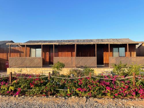 Turtle Beach Resort, Al Ḩadd – Updated 2022 Prices