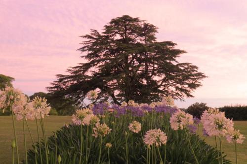 La Casona de San Pedro, Colonia del Sacramento (updated prices 2025)