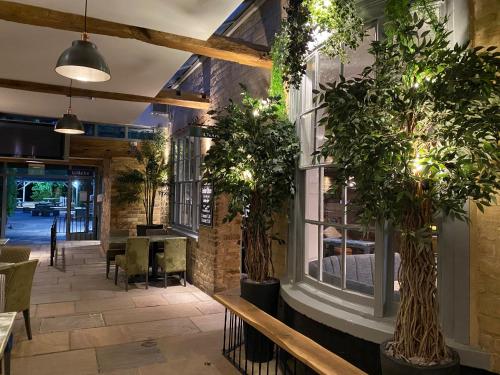 Deeping Stage, Market Deeping – Updated 2023 Prices