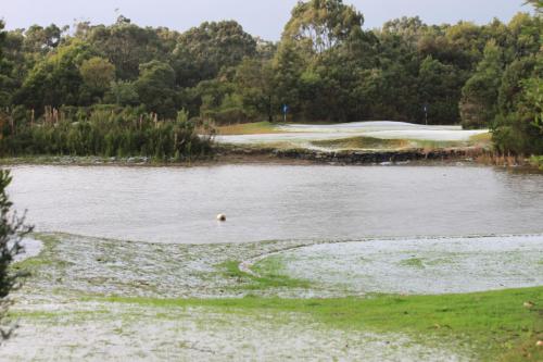 Inverloch par 3 Golf & Cafe and Cocoa & Briar Cottages, Inverloch ...