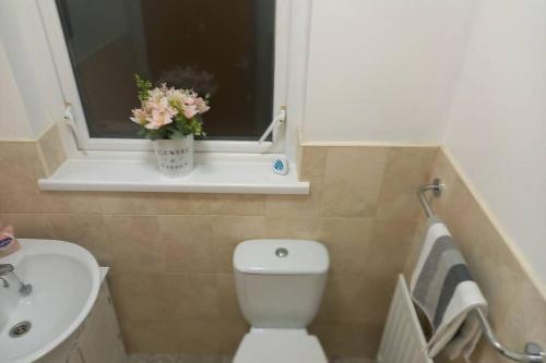 Waterloo House Derry City Centre Townhouse, Derry Londonderry (updated ...