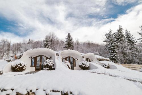 Pensiunea Dealul Verde, Porumbacu de Sus – Prețuri actualizate 2022