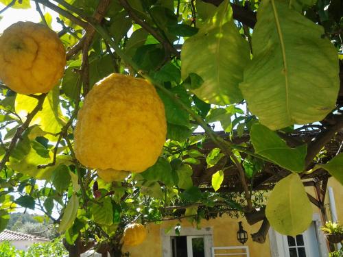 Casa do Mar - Golf Jamor, Oeiras (updated prices 2025)