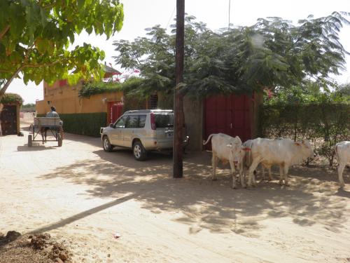 Le Dakan, Saly Portudal – Updated 2023 Prices
