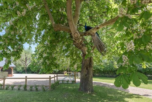 Geoff's Rest at Pond Hall Farm in Hadleigh with Private Hot Tub ...