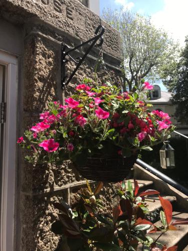 Holbein House, Penzance – Updated 2023 Prices