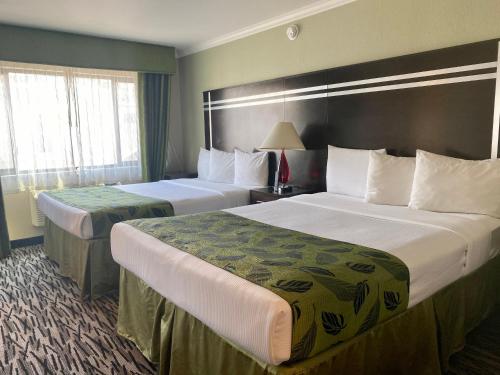 Motel Capri, San Francisco – Updated 2024 Prices