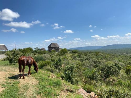 Big Valley Game Lodge, Lobatse – Cập nhật Giá năm 2023
