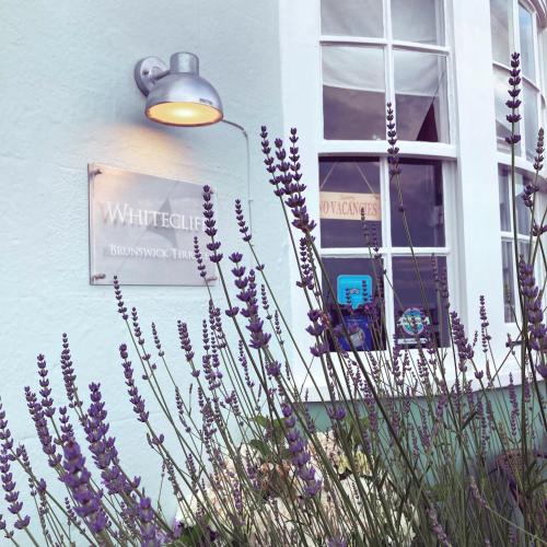 Whitecliff Guest House, Weymouth (updated prices 2025)