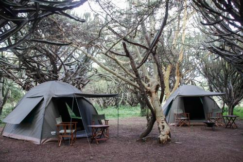 Maji Moto Maasai Cultural Camp, Narok – Updated 2024 Prices