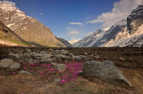 Chhatru Valley Stays, Chhatru (updated prices 2025)