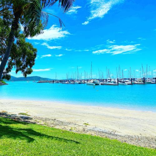 Shingley Beach Resort - Whitsundays, Airlie Beach (updated prices 2025)